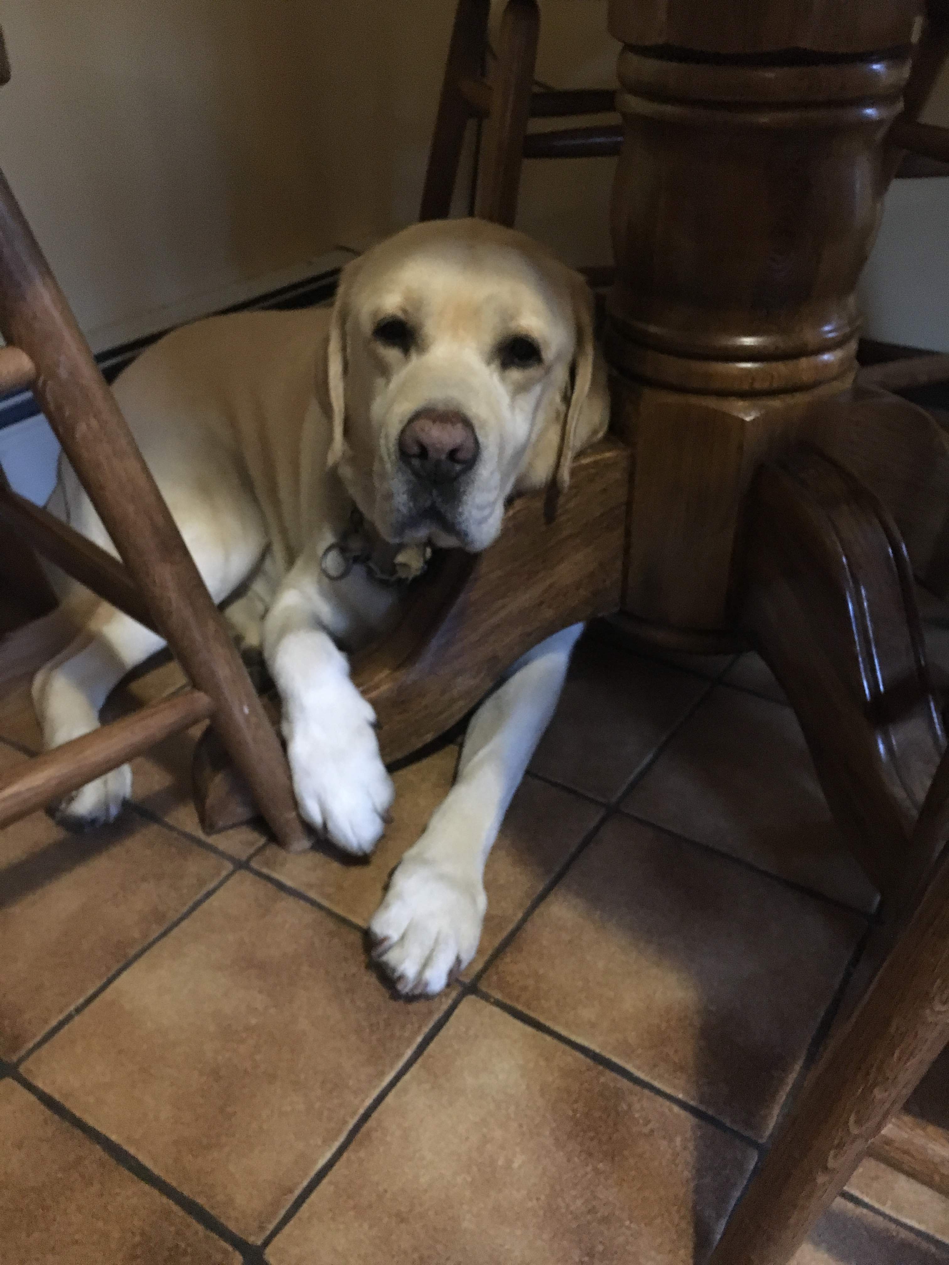 I will love you forever, George – Elizabeth Joy Hadley