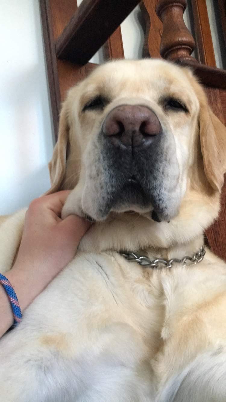 I will love you forever, George – Elizabeth Joy Hadley